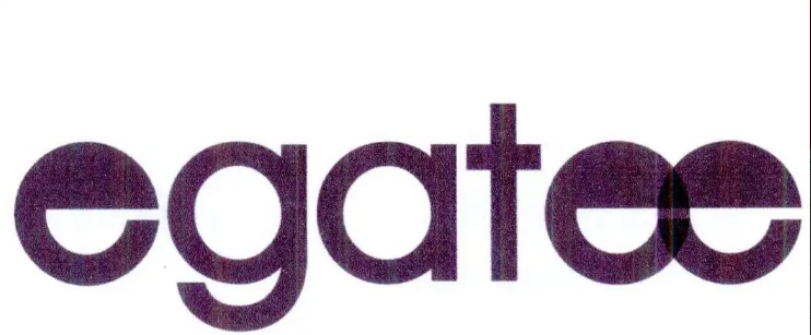 非洲电商平台「Egatee」完成数千万元人民币A轮融资 – 纺织科技杂志